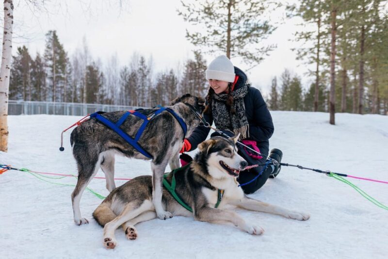 Saariselkä: 10KM Husky Safari with kennel visit - FAQ