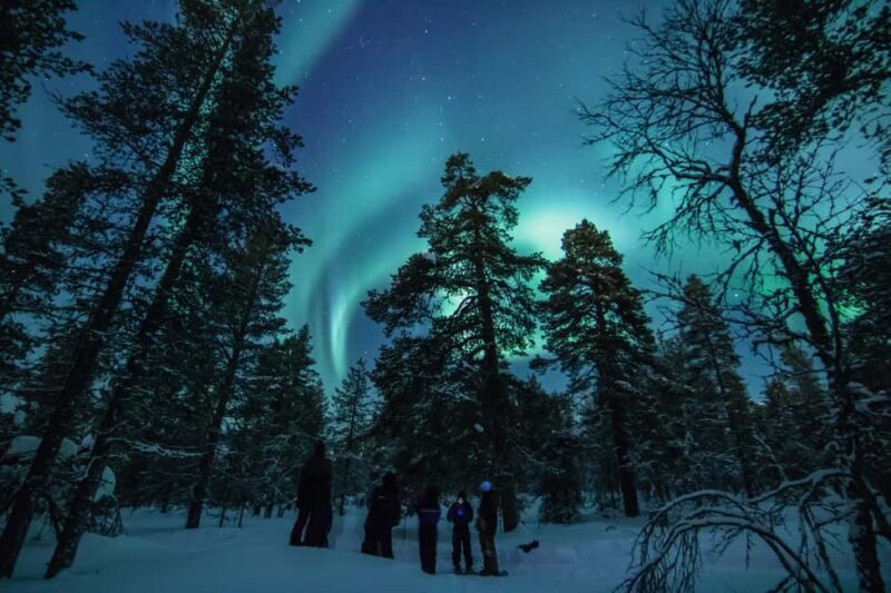 Saariselkä: Aurora Hunting & Reindeer Wilderness Experience - Who Is This Tour Best Suited For?