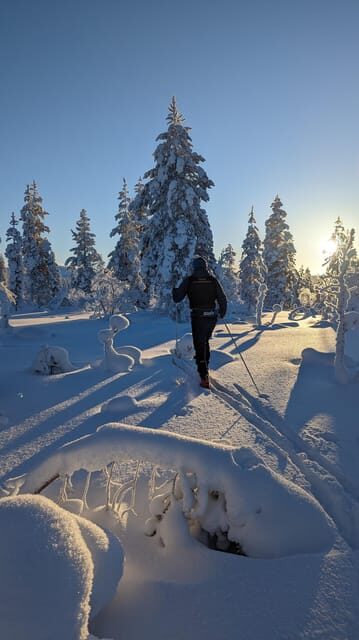 Saariselkä: Back-Country Skiing Guided Tour - Key Points