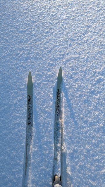 Saariselkä: Back-Country Skiing Guided Tour - An In-Depth Look at the Saariselkä Back-Country Skiing Tour