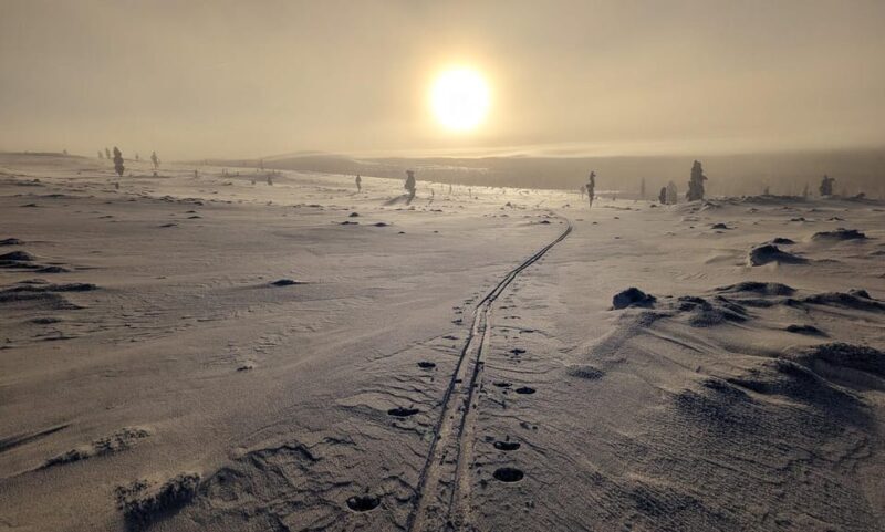 Saariselkä: Back-Country Skiing Guided Tour - FAQs