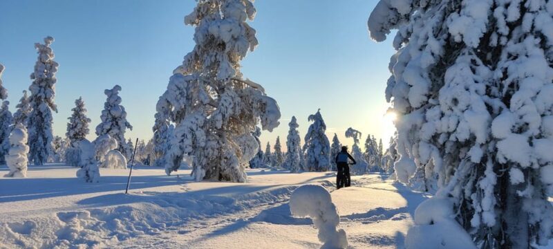 Saariselkä: Guided Fatbike Tour - Key Points