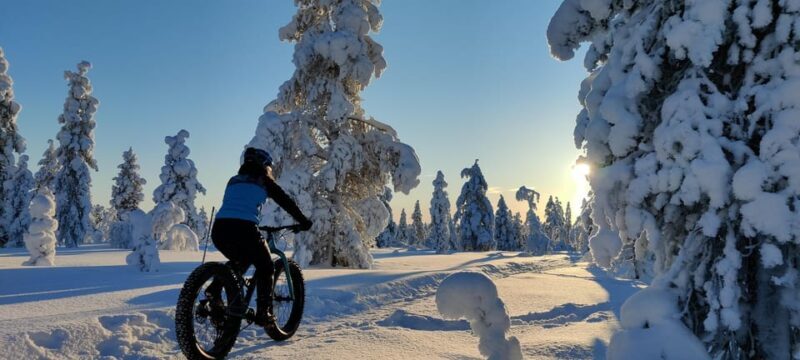 Saariselkä: Guided Fatbike Tour - What to Expect on the Saariselkä Fatbike Tour