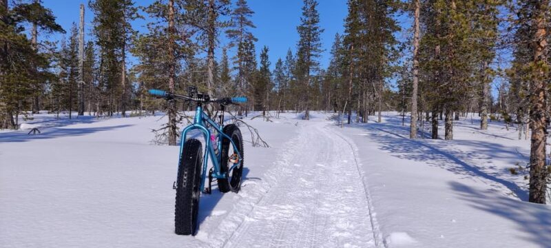 Saariselkä: Guided Fatbike Tour - Who Should Try This Experience?