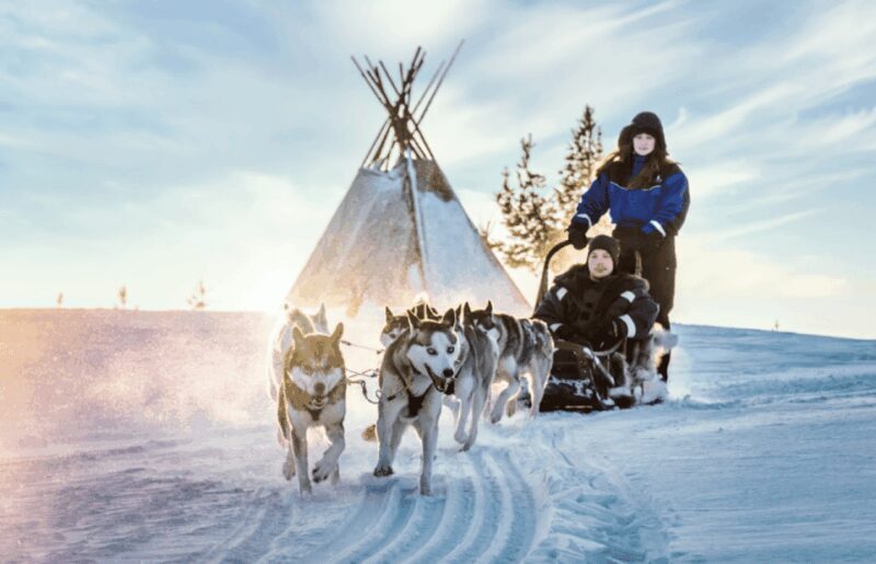 Saariselkä: Husky Safari with Aurora Borealis Hunt - An Overview of the Experience