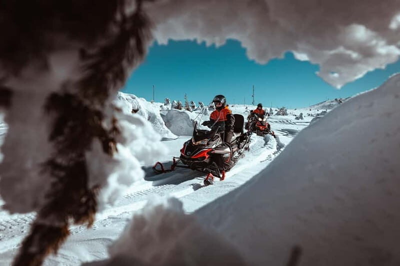 Saariselkä: One Hour Snowmobile Safari - Practical Details: Making the Most of Your Experience