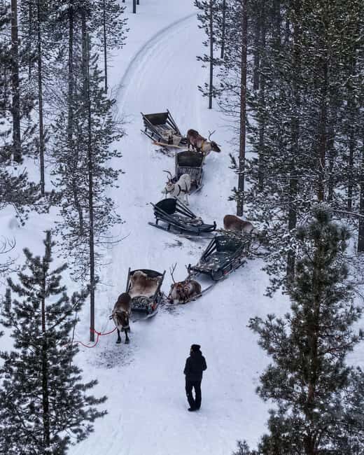 Saariselkä : Reindeer Sleigh Ride with Snacks & Hot Drink - Key Points