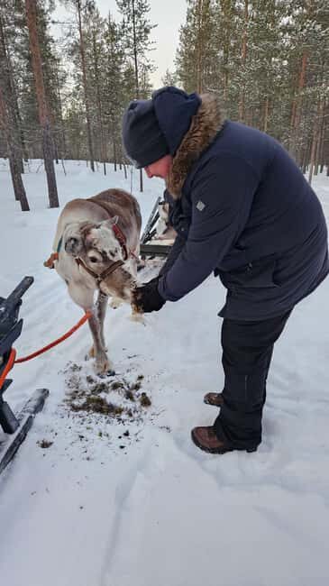 Saariselkä : Reindeer Sleigh Ride with Snacks & Hot Drink - Authenticity and Ethical Considerations
