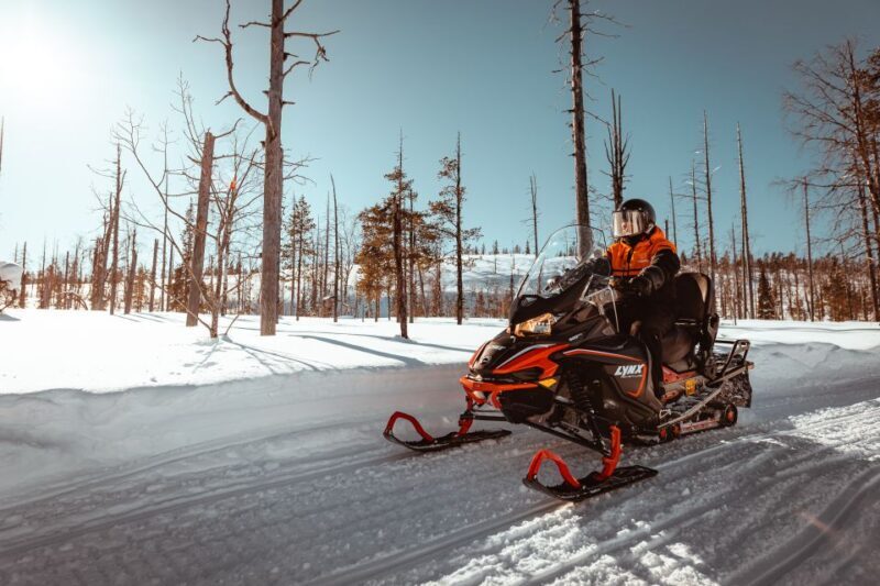 Saariselkä: Snowmobile Adventure for Adults - Who Should Consider This Tour?
