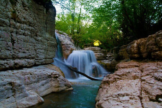 Sabaduri forest, Chronicles of Georgia, wolves and bears Zoo - Introduction: Why This Tour Stands Out