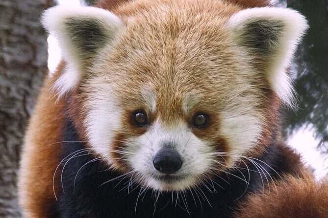 Sacramento Zoo General Admission Ticket - Who Will Enjoy the Sacramento Zoo?