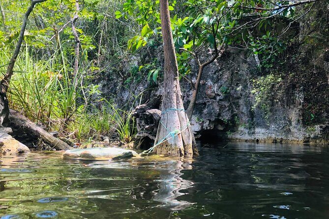 Sacred Adventure at Xenotes! 4 Different Cenotes + Round Transportation - The Lunch Break: Savoring Local Flavors