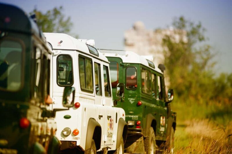 Safari 4x4 in Camargue / VIP Tour 3h30 / Grau du Roi - Key Points