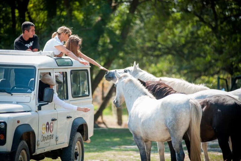 Safari 4x4 in Camargue / VIP Tour 3h30 / Grau du Roi - An Authentic and Scenic Adventure in Camargue