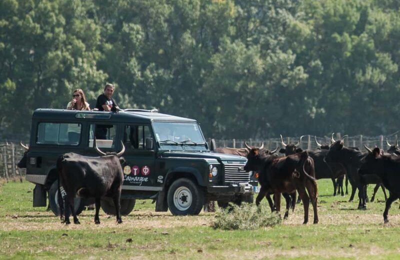 Safari 4x4 in Camargue / VIP Tour 3h30 / Grau du Roi - Practical Details and Value
