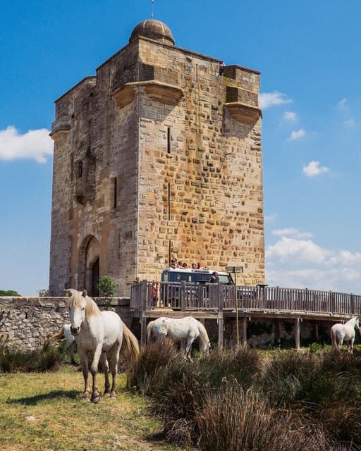 Safari 4x4 in Camargue / VIP Tour 3h30 / Grau du Roi - Additional Considerations