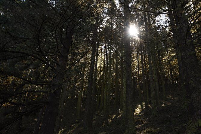 Safari 4x4 Pico Arieiro Santana in Small Group "FlowerEAST" - FAQ