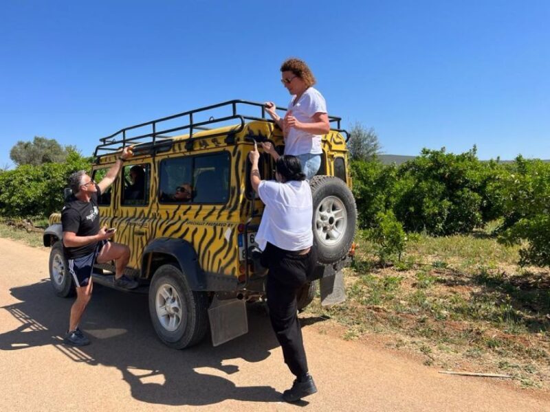 Safari & Boat Tour - Mountains & Dolphins - A Deep Dive into the Itinerary and What You Can Expect