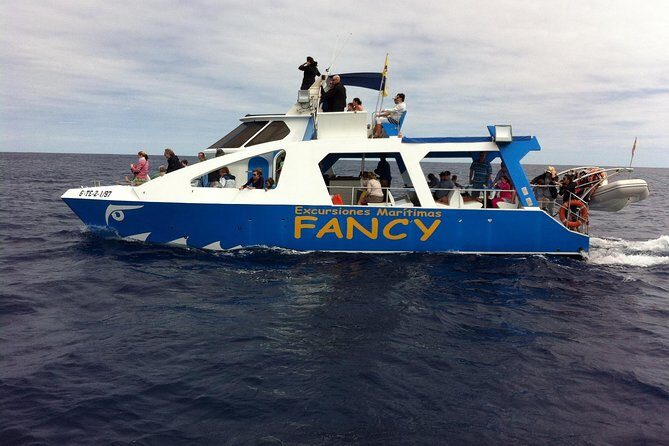 Safari Cumbre Vieja - Exploring the La Palma Dolphin Cruise