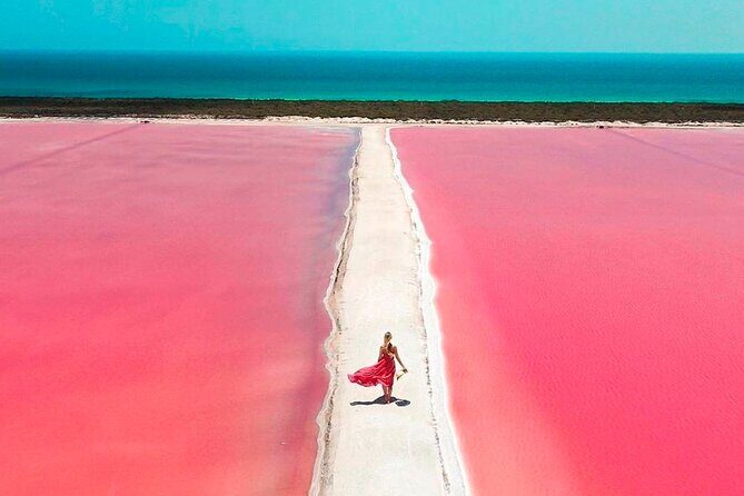 Safari in Rio Lagartos, Coloradas and Mayan Bath - Final Thoughts