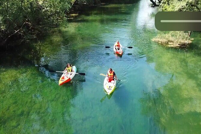 Safari kayak adventure w BBQ & Beer - The Itinerary in Detail: What to Expect