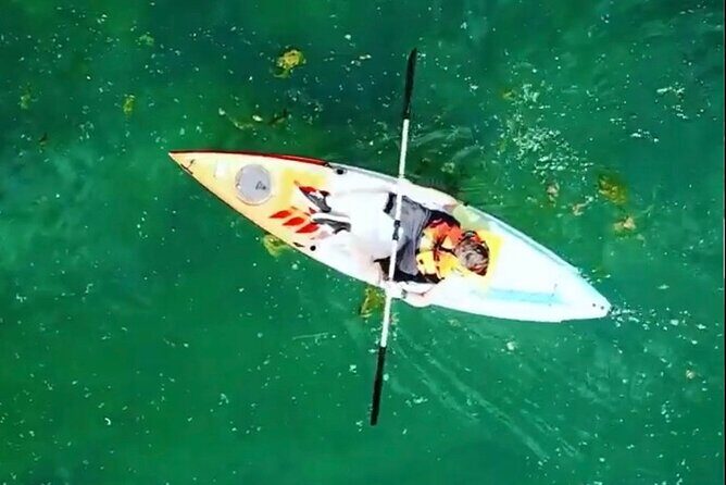 Safari kayak adventure w BBQ & Beer - FAQ