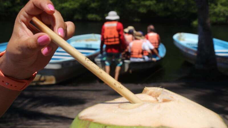 SAFARI THROUGH THE MANGROVES IN VENTANILLA OAXACA - The Value of This Experience