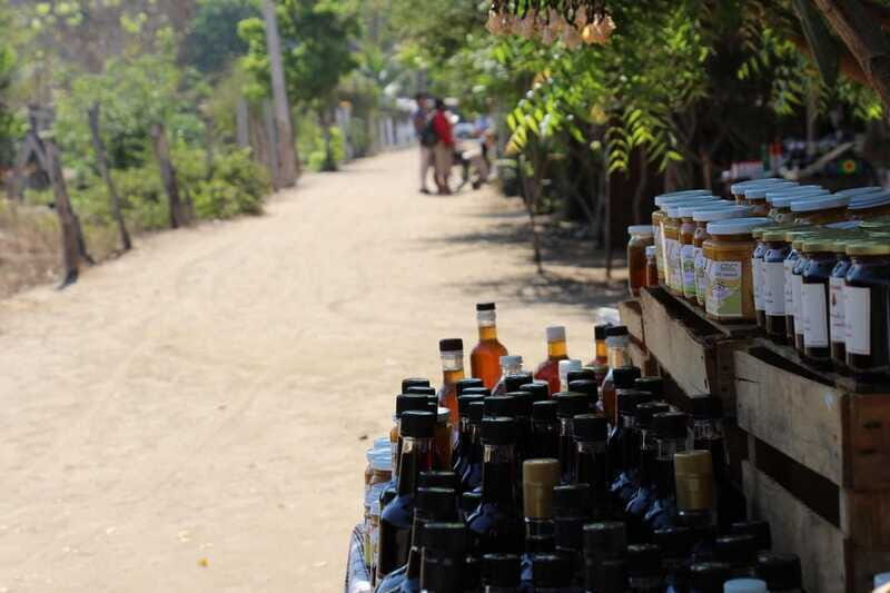 SAFARI THROUGH THE MANGROVES IN VENTANILLA OAXACA - Final Thoughts