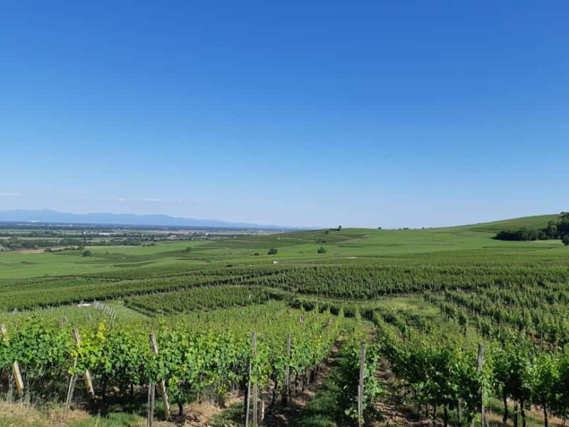 Safari Wine Villages & Wine tasting - What’s Included, What’s Not
