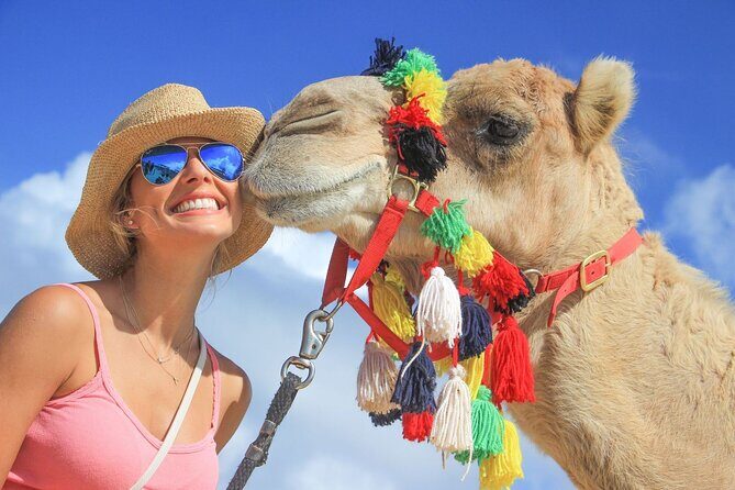 Safari with Camel Caravan to Explore Bajas Nature, Culture and Cuisine - What to Expect from This Baja Safari