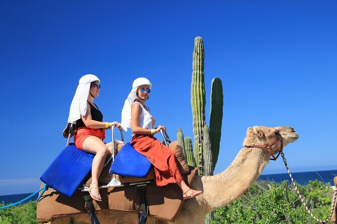 Safari with Camel Caravan to Explore Bajas Nature, Culture and Cuisine - The Sum Up: Who Will Love This Baja Camel Safari?