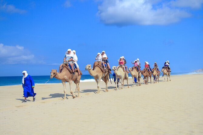 Safari with Camel Caravan to Explore Bajas Nature, Culture and Cuisine - FAQ