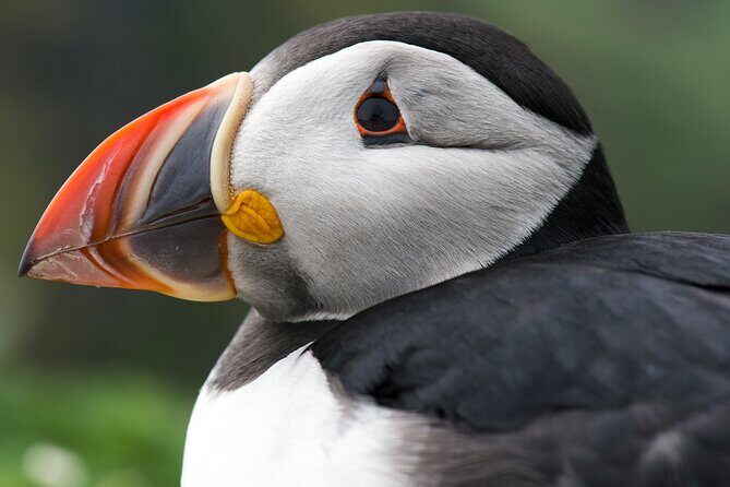 Safe Ride for Travellers to Edmonton - A Practical and Comfortable Transit Option in Edmonton