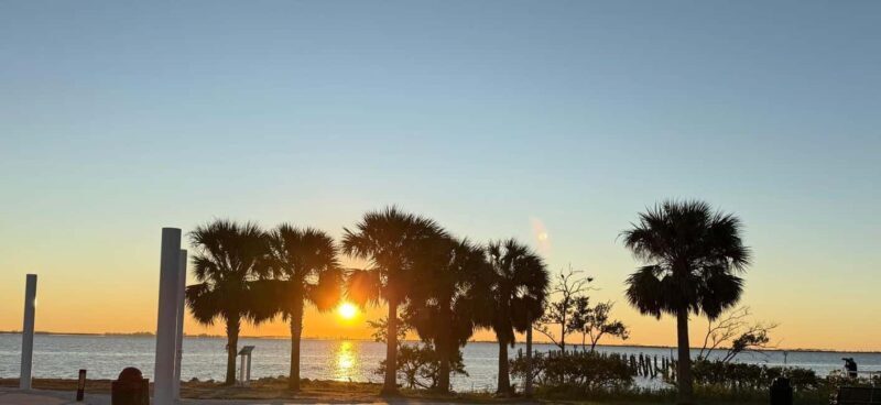 Safety Harbor: Food and Drink Tour with a Local Guide - Who Will Love This Tour?