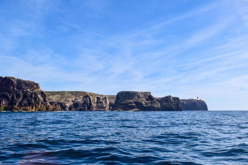 Sagres: Wildlife Tour Dolphins and Caves - Authentic Experiences and Real Feedback