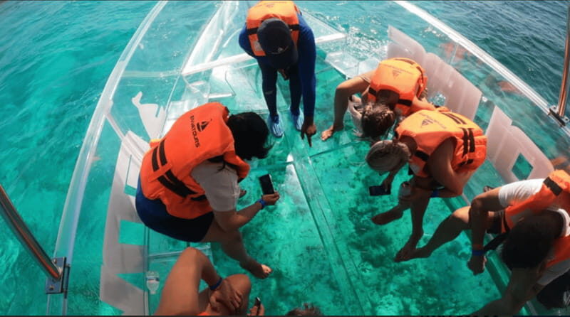 Sail around cancun in the best transparent boat + 2 drinks - An Authentic Look at the Tour Experience