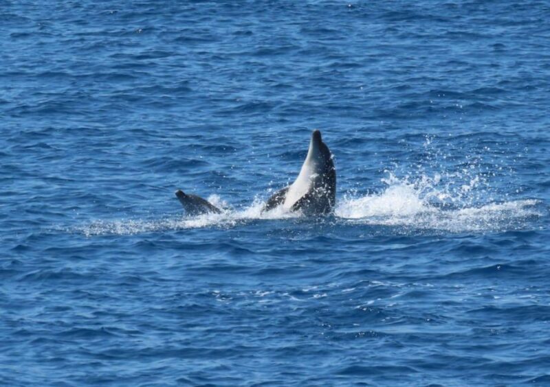 Sail Away in Kos: Unveil 3 Greek Isles Secrets! - Key Points