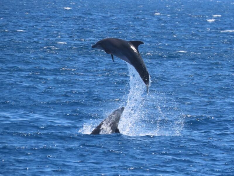 Sail Away in Kos: Unveil 3 Greek Isles Secrets! - FAQ