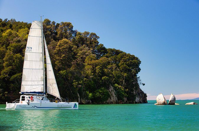 Sail, Seals, and Walk Tour in Abel Tasman - Authentic Traveler Experiences