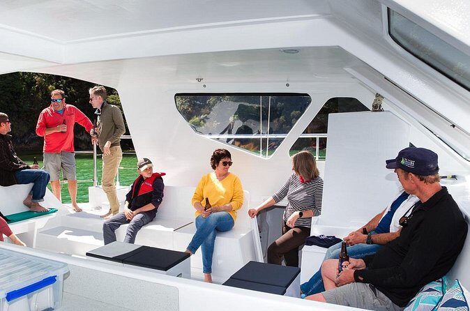 Sail, Seals, and Walk Tour in Abel Tasman - A Well-Rounded Experience for Nature & Adventure Enthusiasts