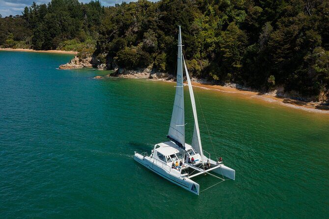Sail, Seals, and Walk Tour in Abel Tasman - The Sum Up