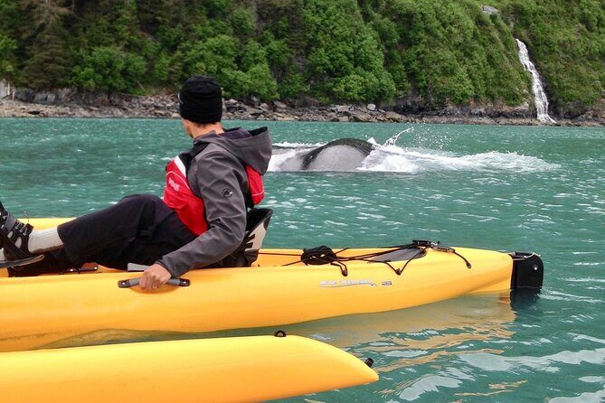 Sailing Alaska's Inside Passage 4 Day Private Tour - Key Points