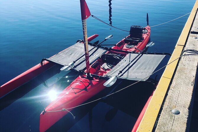 Sailing Alaska's Inside Passage 4 Day Private Tour - The Sum Up