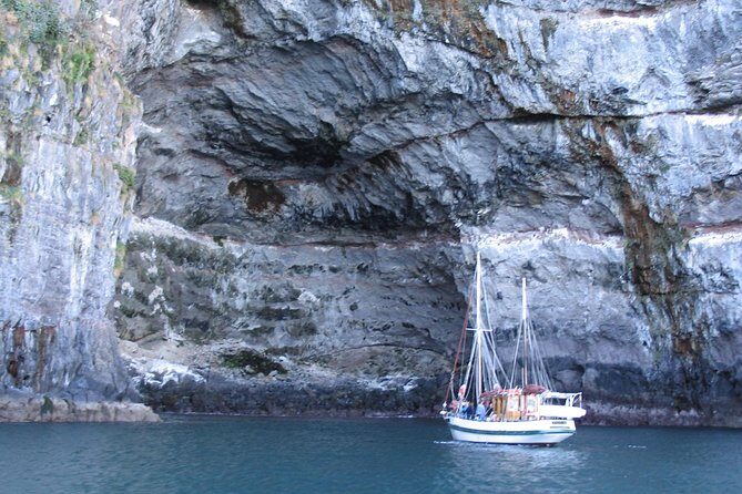 Sailing and Wildlife Tour Akaroa Fox II Sailing - What Makes This Tour Special?
