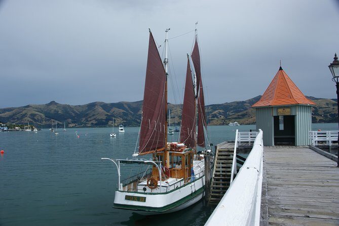 Sailing and Wildlife Tour Akaroa Fox II Sailing - Who Should Consider This Tour?