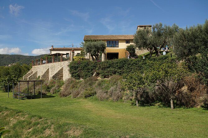 Sailing and Wine Tasting Experience Small Group in Barcelona - Exploring the Itinerary in Depth