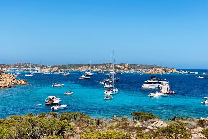 Sailing Cruise in Maddalena Archipelago from Maddalena - The Crew and Support