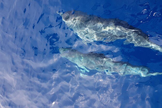 Sailing day trip on Tall Ship Andrea Jensen with Lunch and Wine - Discovering Sardinia’s Coastal Charm on the Andrea Jensen