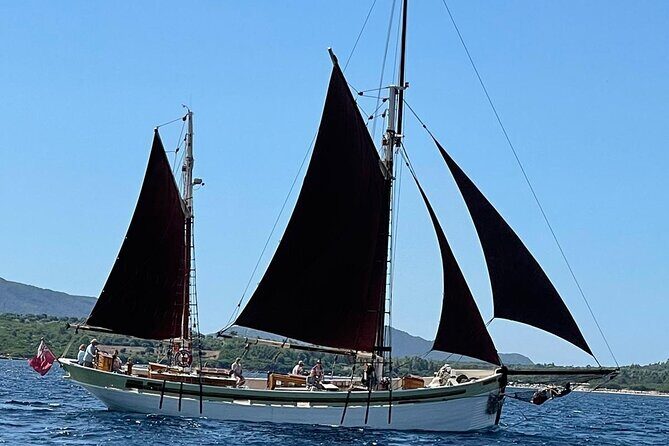 Sailing day trip on Tall Ship Andrea Jensen with Lunch and Wine - What Makes the Price of $169.38 Per Person Worth It?  