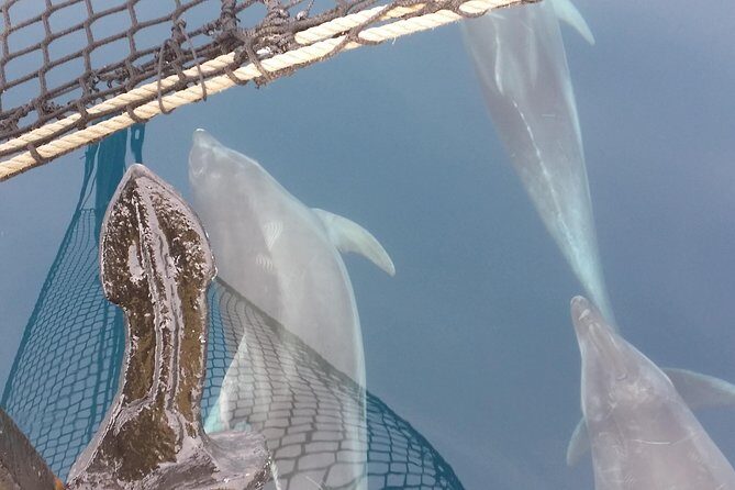 Sailing day trip on Tall Ship Andrea Jensen with Lunch and Wine - Who Will Love This Tour?  